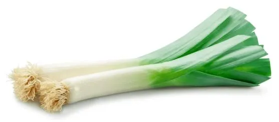 Leek - Large American Flag Leek | Bear Mountain Seeds