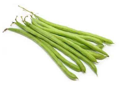 Bean - Landreth Stringless Green Bean (Bush) | Bear Mountain Seeds